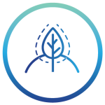 WISE Model – WISE-Ability Model Australia